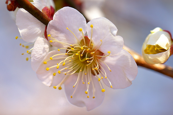 モイゼルト軟膏 / Moizerto ointment 製品情報 | 大塚製薬 医療関係者向け情報サイト