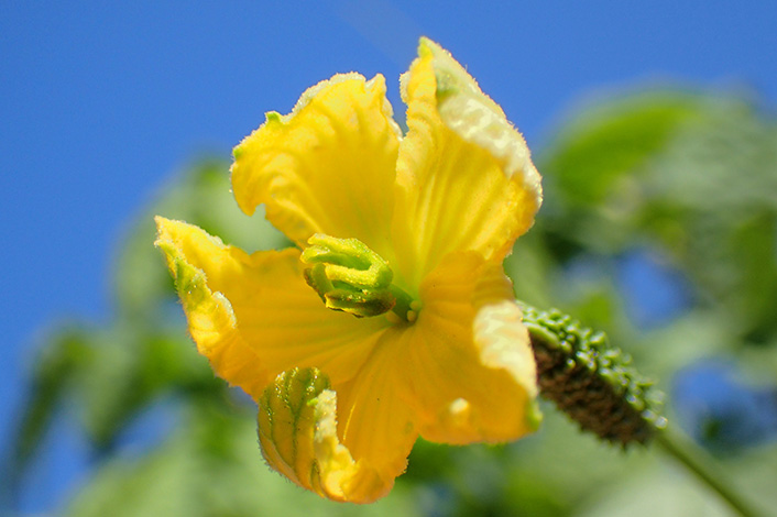 モイゼルト軟膏0.3％、1％ | 大塚製薬 医療関係者向け情報サイト